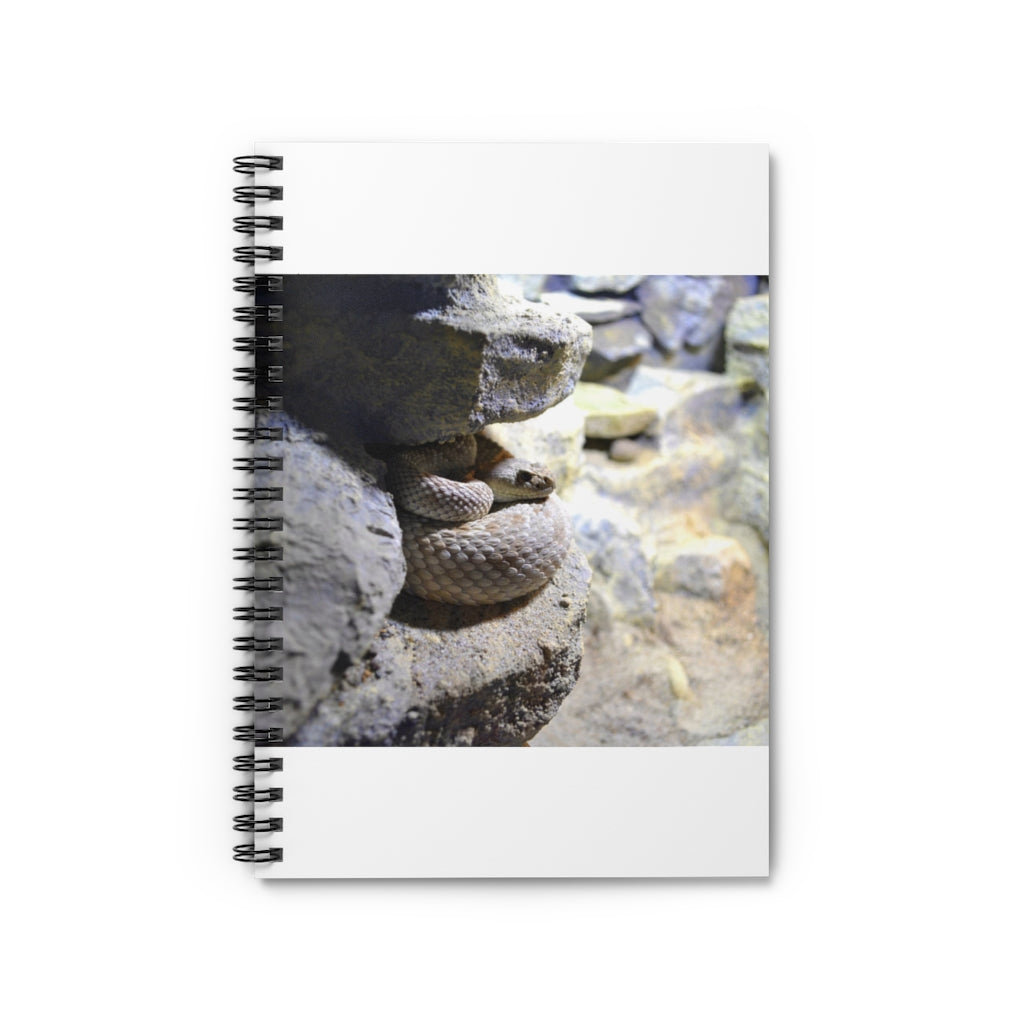 Marick Booster Snake Spiral Notebook - Wayfair Canada
