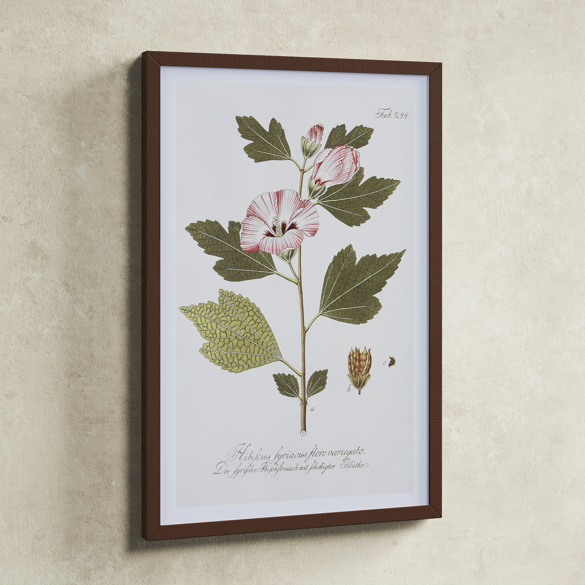 Five Perfume & Reviews | Birch Lane