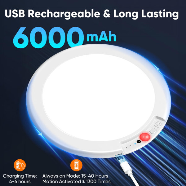 Wrought Studio™ Battery Operated Ceiling Light,Rechargeable Motion ...