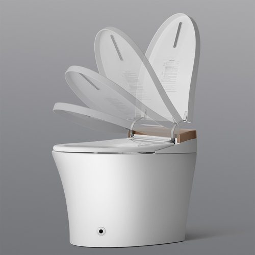 Cosvalve 1.28 Gallons GPF Elongated Chair Height Floor Mounted Bidet ...