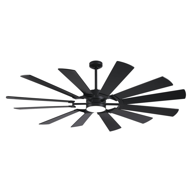 Latitude Run® Modern Industrial 12 Blade Ceiling Fan With Light And ...