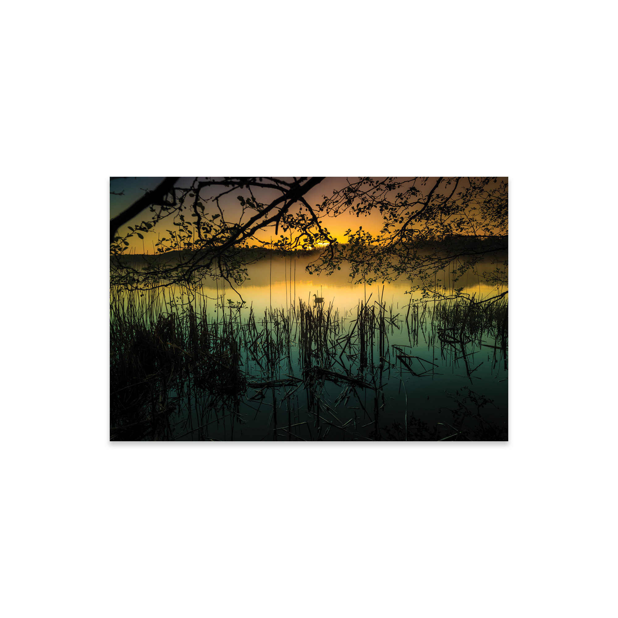 Latitude Run® Ilit Botkyrka On Plastic/Acrylic by Anders Jorulf Graphic ...