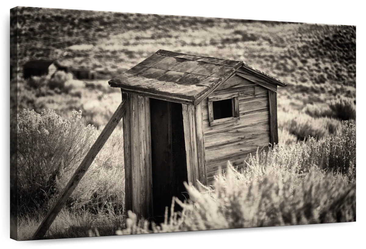 Ebern Designs Lilie Ghost Town Outhouse I - Wayfair Canada