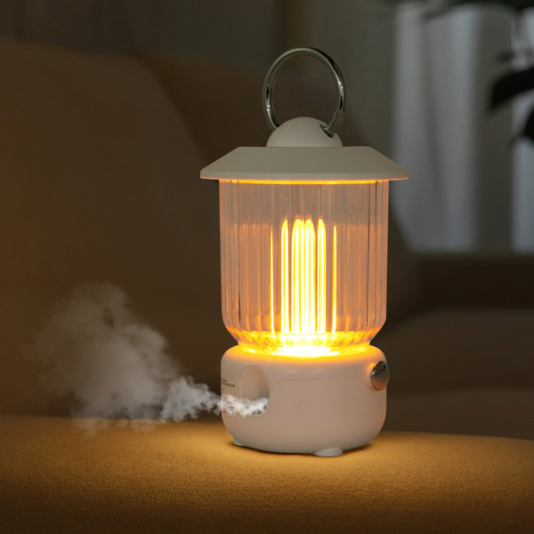 YYBSH Portable Humidifier with Dimming LED Light | Wayfair