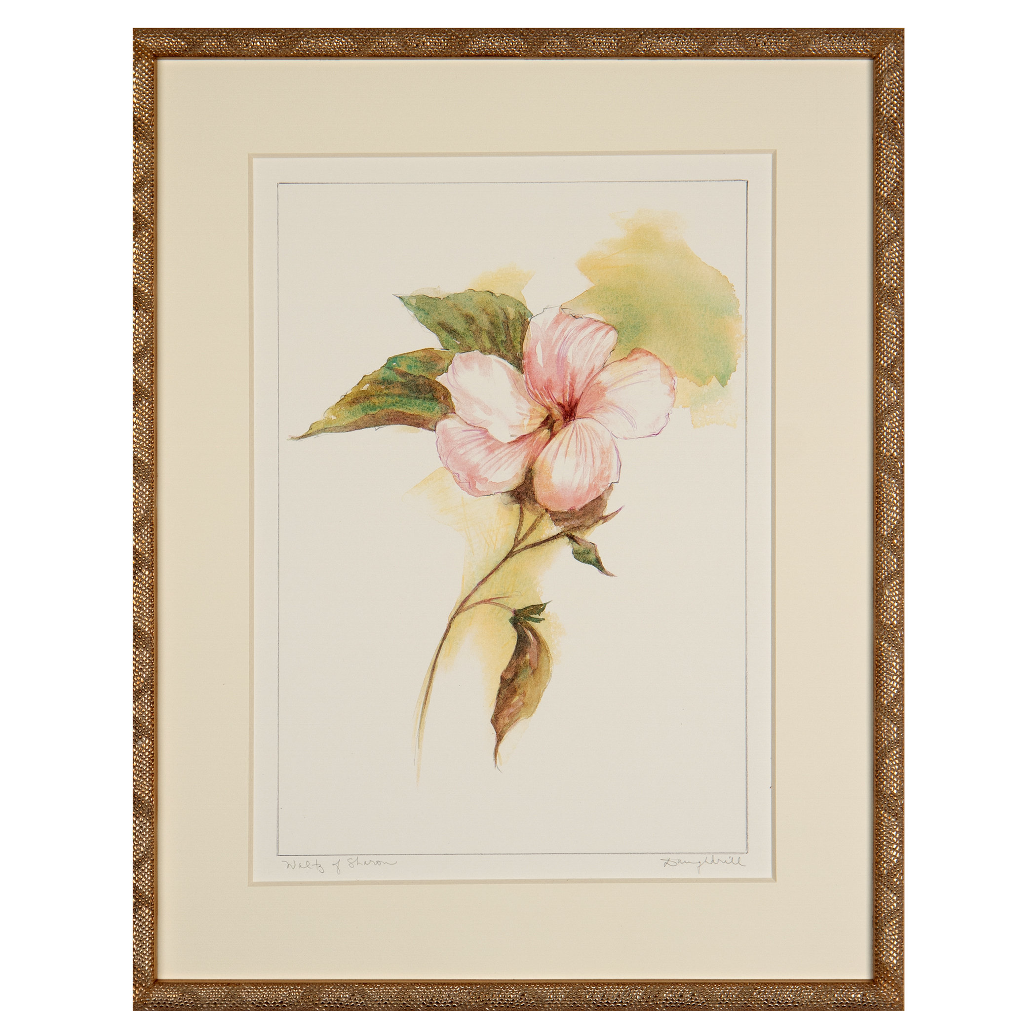 The Natural Light Waltz of Sharron by Daughdrill - Picture Frame ...