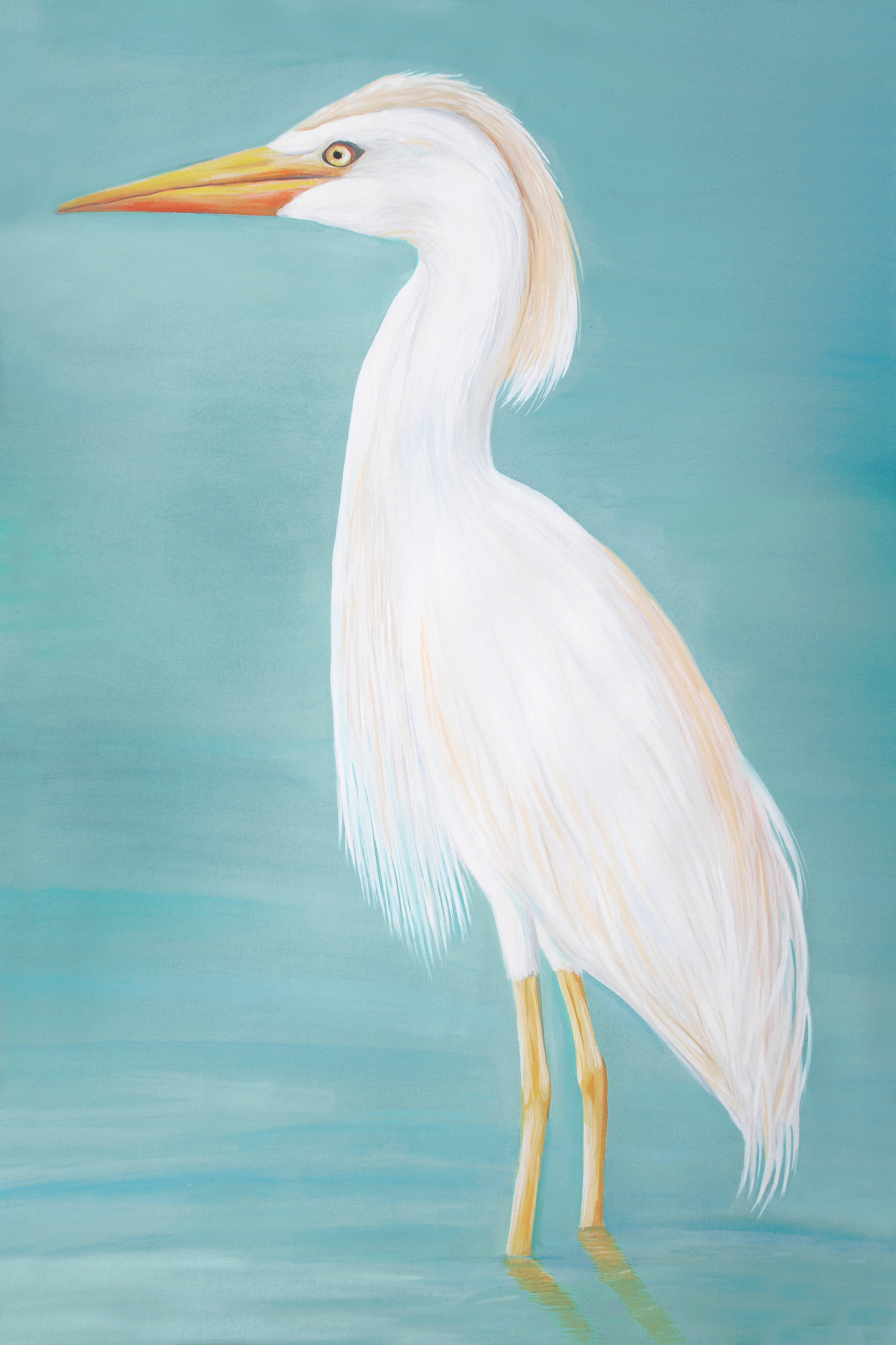 Highland Dunes Cattle Egret by Courtney Lye - Wrapped Canvas Print ...