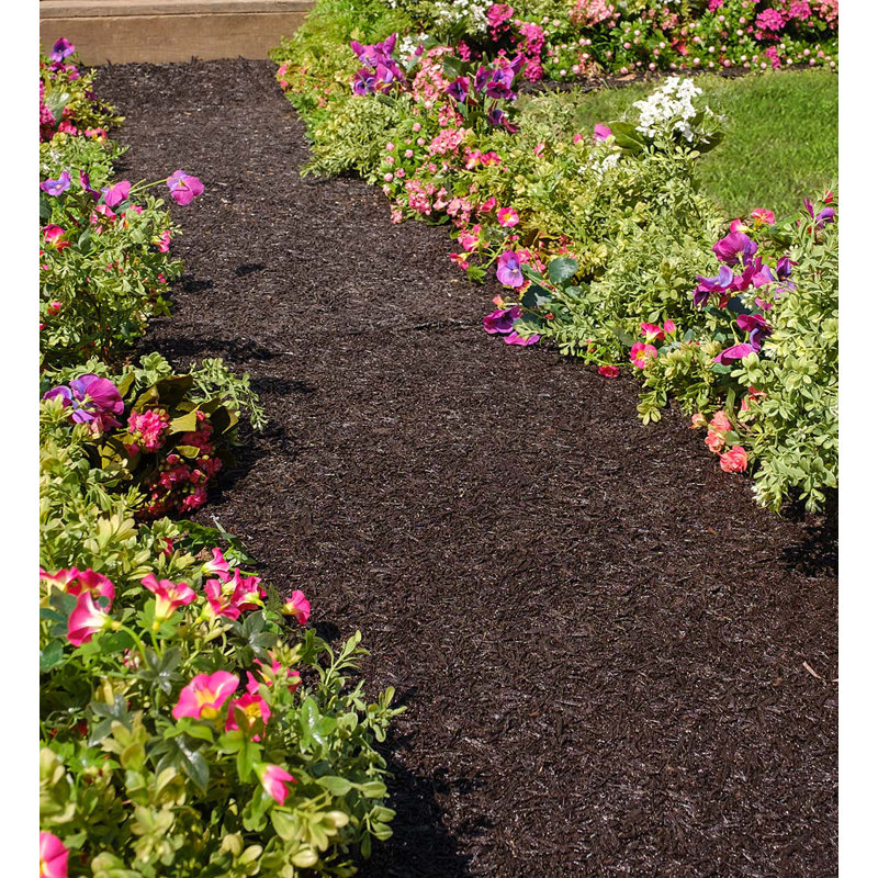 Arlmont & Co. Raedon Permanent Mulch Recycled Rubber Pathway & Reviews ...