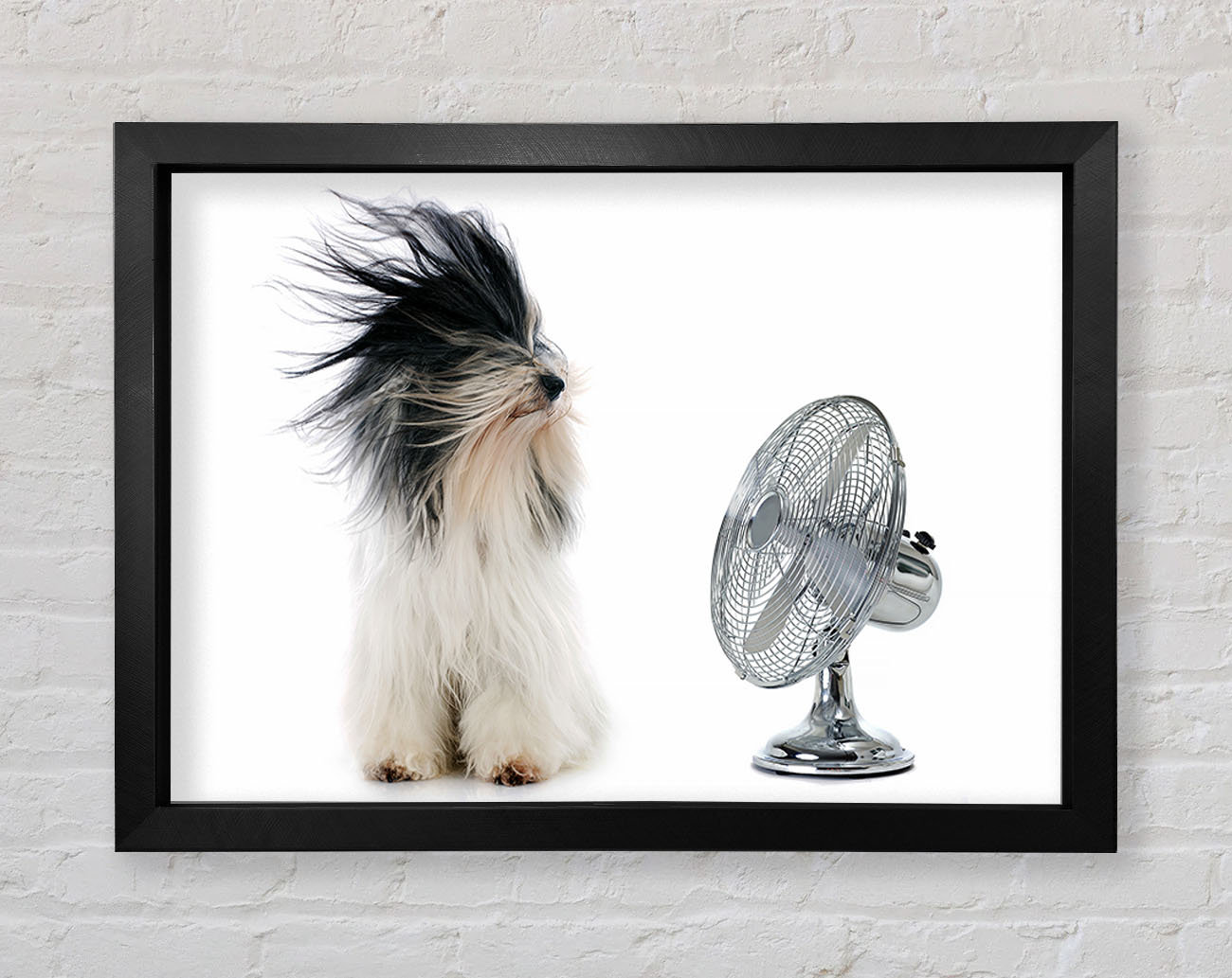 Bright Star Old English Sheepdog Cooling Off - Print | Wayfair.co.uk