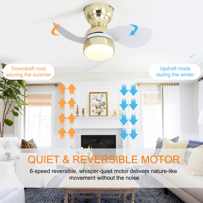 Ivy Bronx Kemp 22'' Ceiling Fan with LED Lights | Wayfair