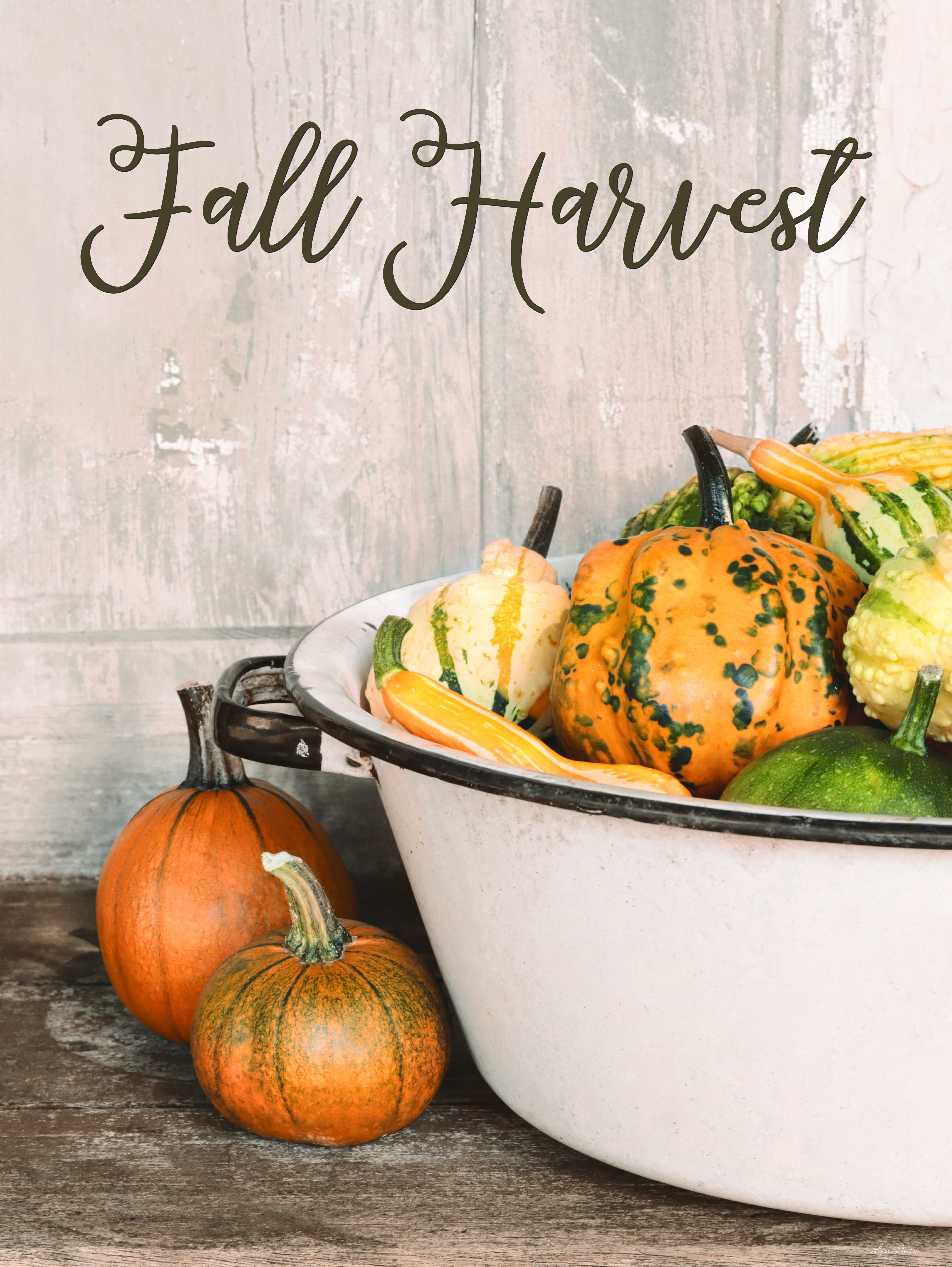 Gracie Oaks Fall Harvest - Print on Canvas | Wayfair