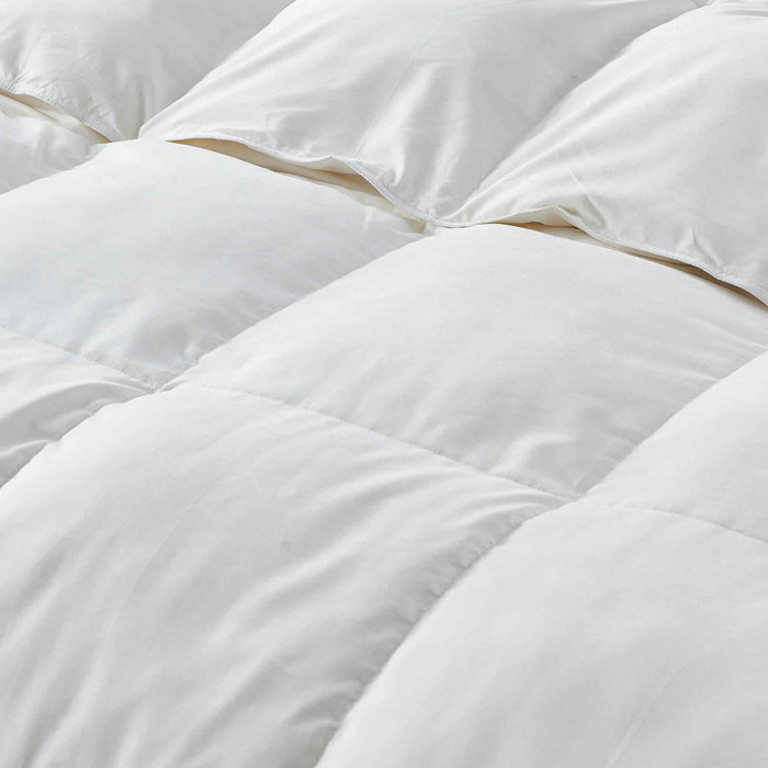 The Twillery Co.® 600 Fill Power All Seasons Down Comforter & Reviews ...