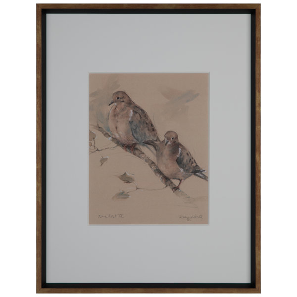 The Natural Light Daughdrill Dove Rest IX Framed by Daughdrill Print ...