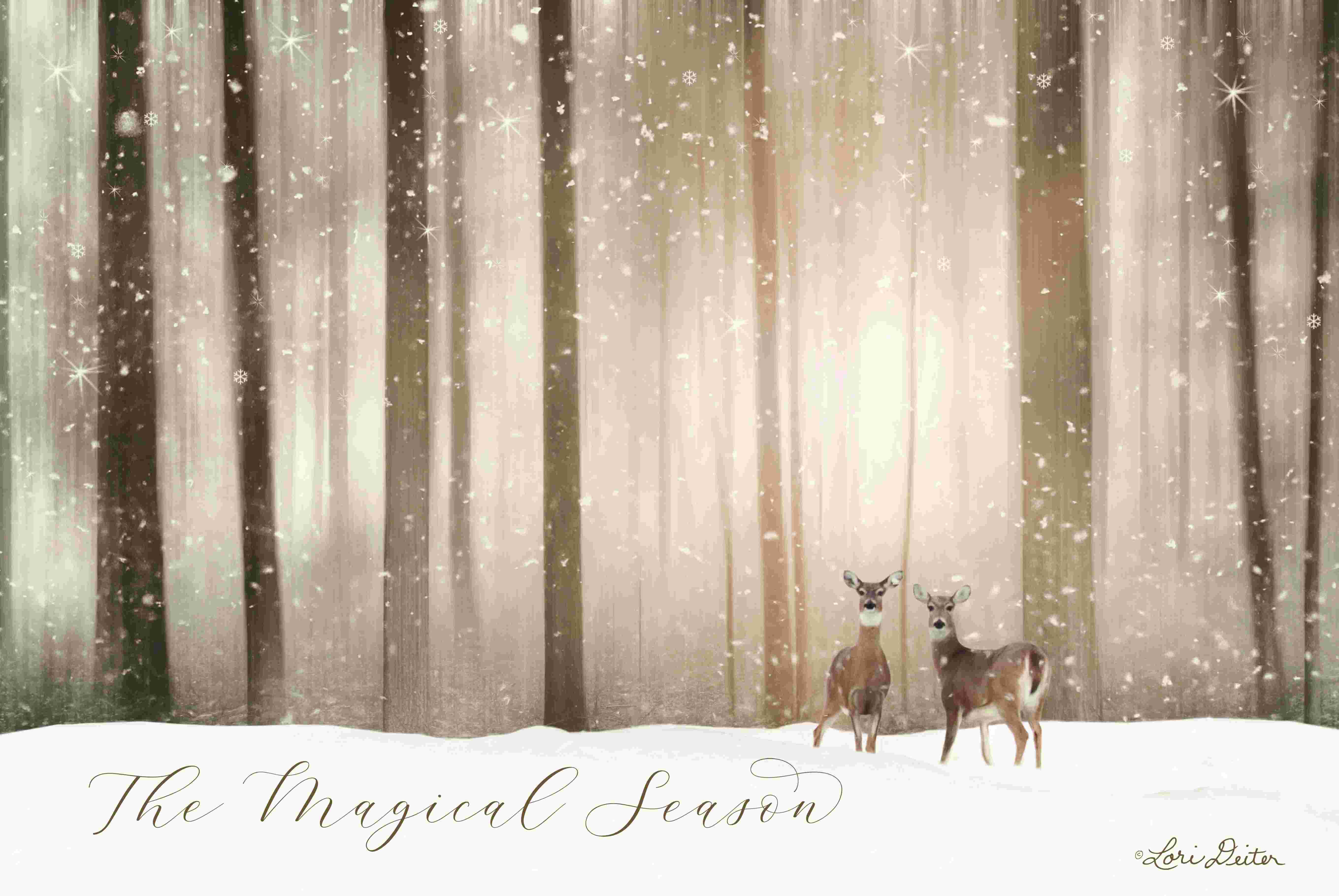 Millwood Pines 2907155The Magical Season - Wayfair Canada