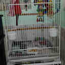 Tucker Murphy Pet™ Halbert Open Top Parrot Bird Cage with Stand ...