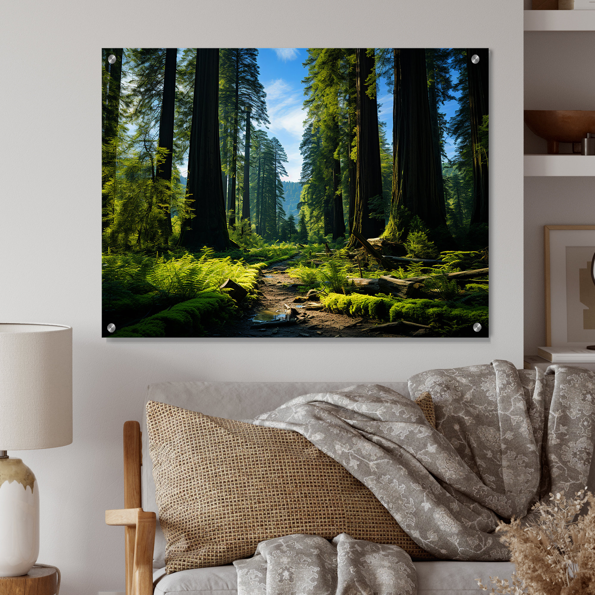 Millwood Pines Redwood Giants Tree Forest II - Tree Redwood Acrylic ...