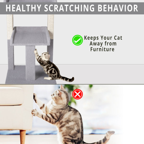 Tucker Murphy Pet™ Tott and Eling 2-Tier Cat Tree Tower; Cat Condo with ...