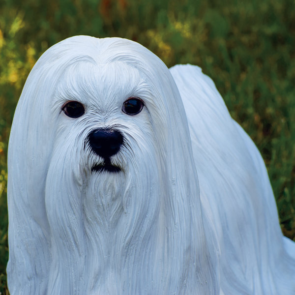 Hi-Line Gift Ltd. Maltese Statue & Reviews | Wayfair