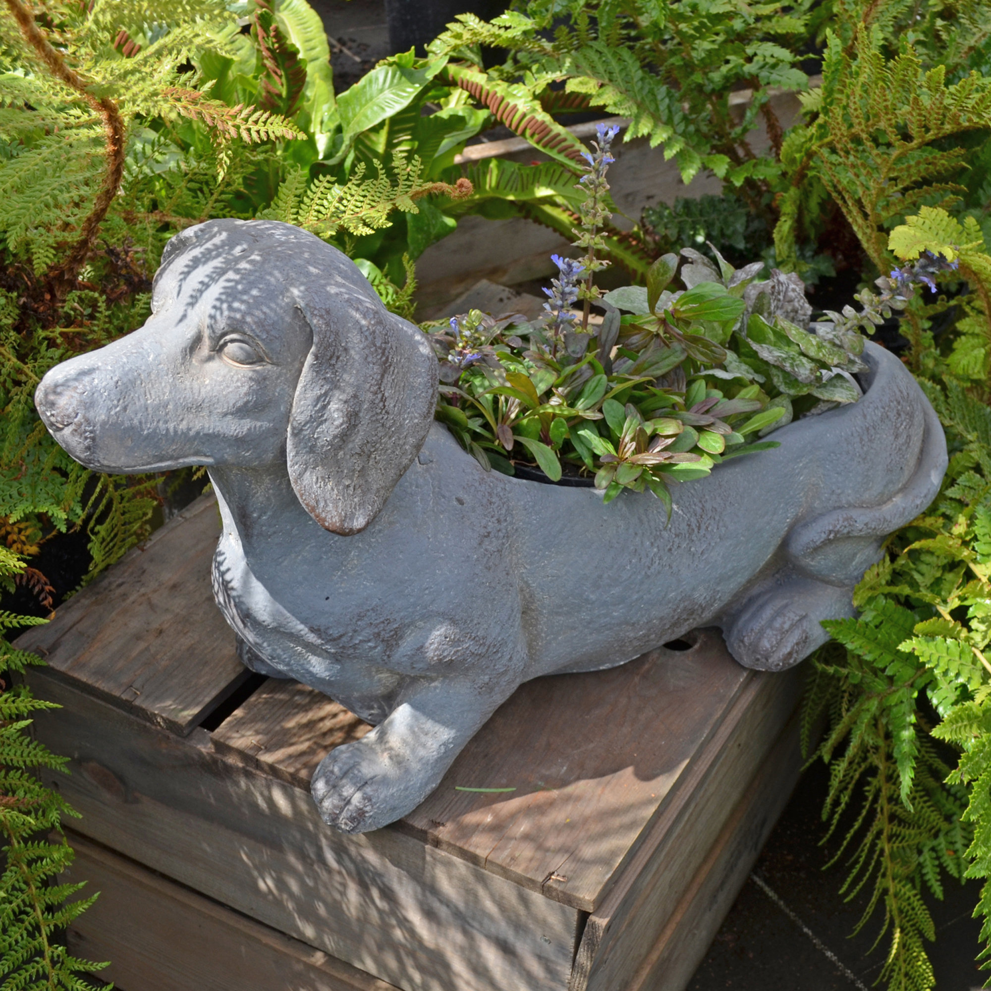 Dakota Fields Zahara SAUSAGE DOG Planter 30cm Blue Iron Effect ...