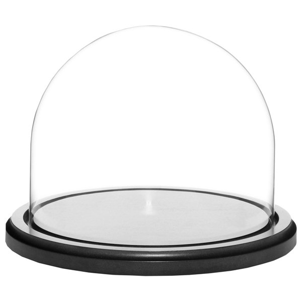 Latitude Run® Jenett Display Dome Cloche | Wayfair