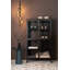 Luxury Furnitures Ferre Accent Cabinet | Perigold