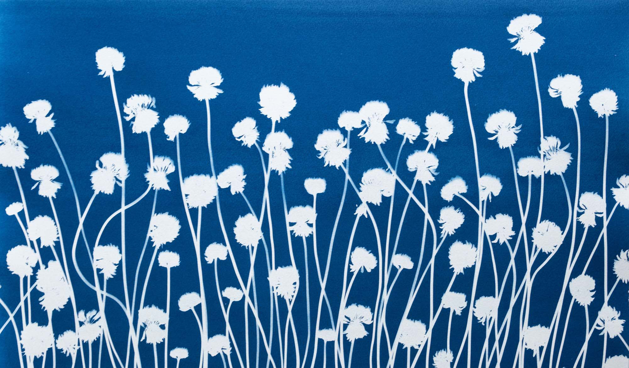 Yoffi " Spring Clover Panel 2 " by Christine So | Wayfair