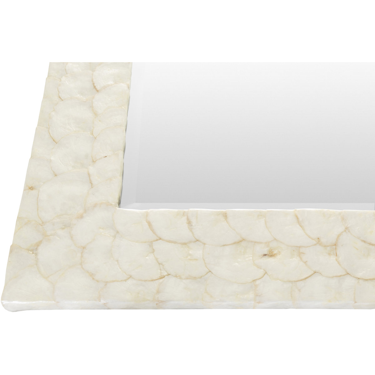 Latitude Run® Javione Traditional Beveled Wall Mirror & Reviews | Wayfair