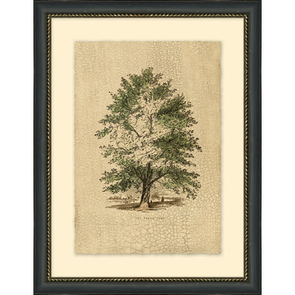 Wendover Art Group The Plane Tree - Picture Frame Graphic Art on Paper ...