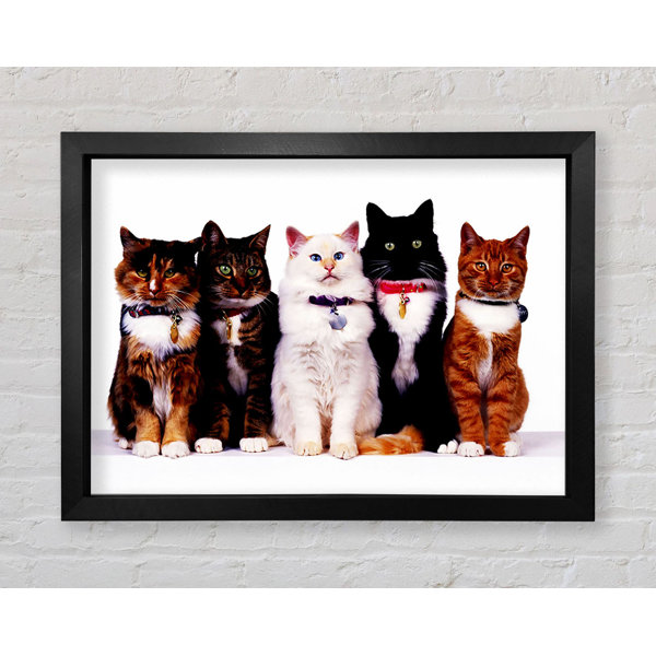 Ebern Designs Family Of Cats - Single Picture Frame Art Prints ...