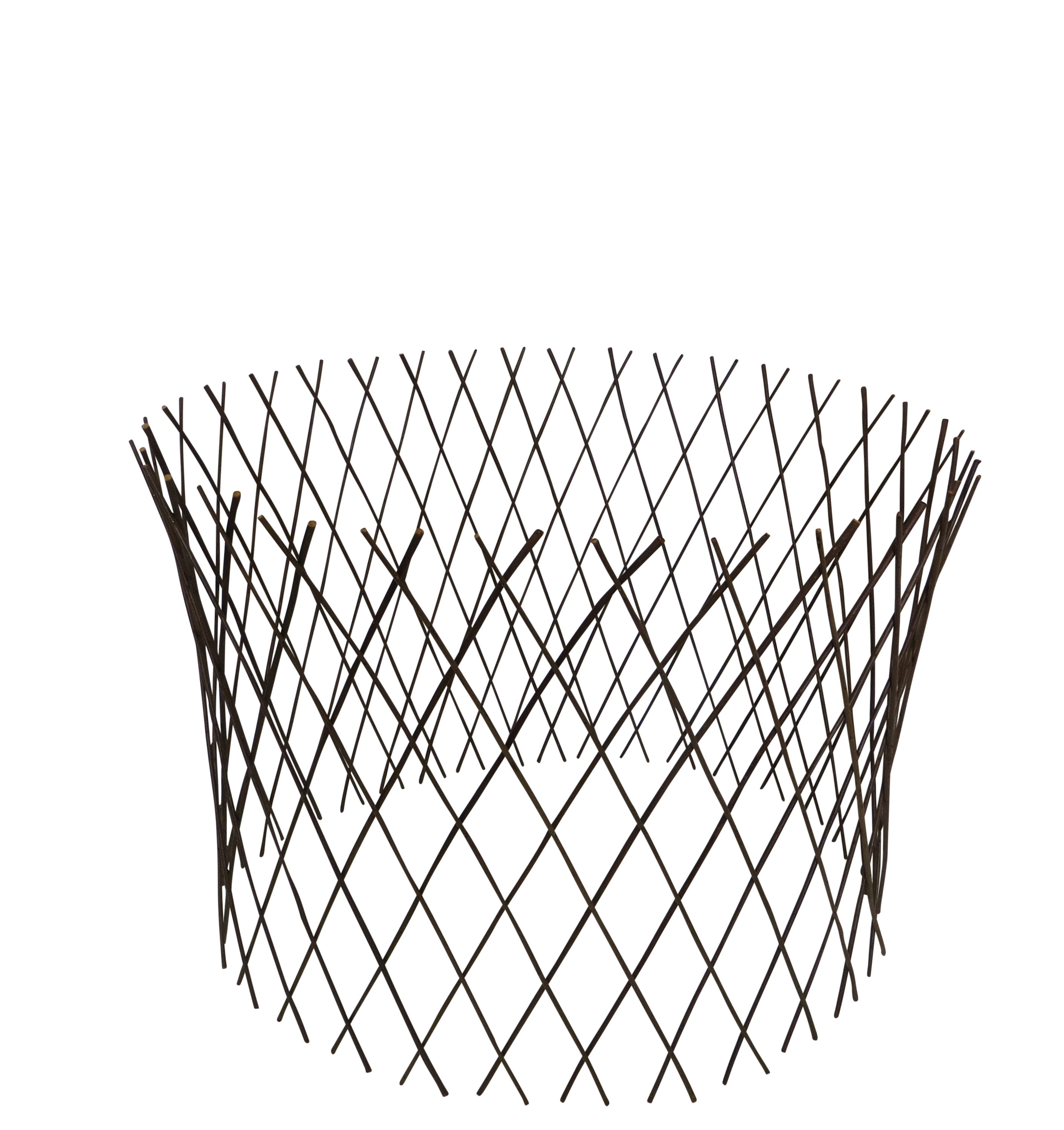 MGP Willow Cone Wood Expanding Trellis & Reviews - Wayfair Canada