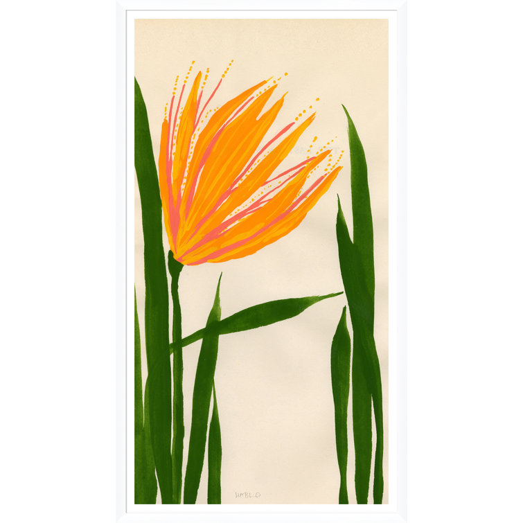 Soicher-Marin Witch Hazel by Susan Hable | Perigold