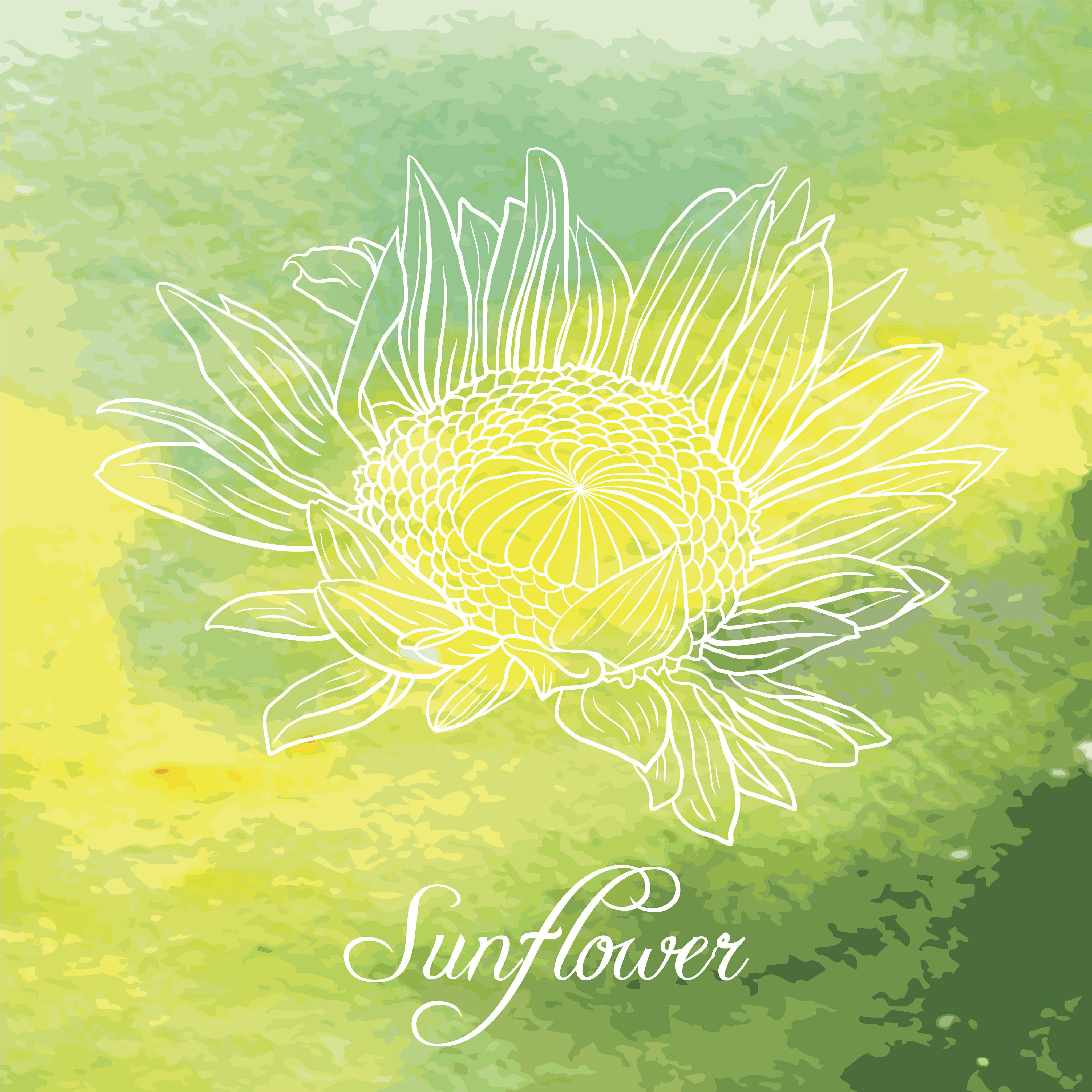 Winston Porter Derrickson Watercolor Background with Flower by Cat_Arch ...