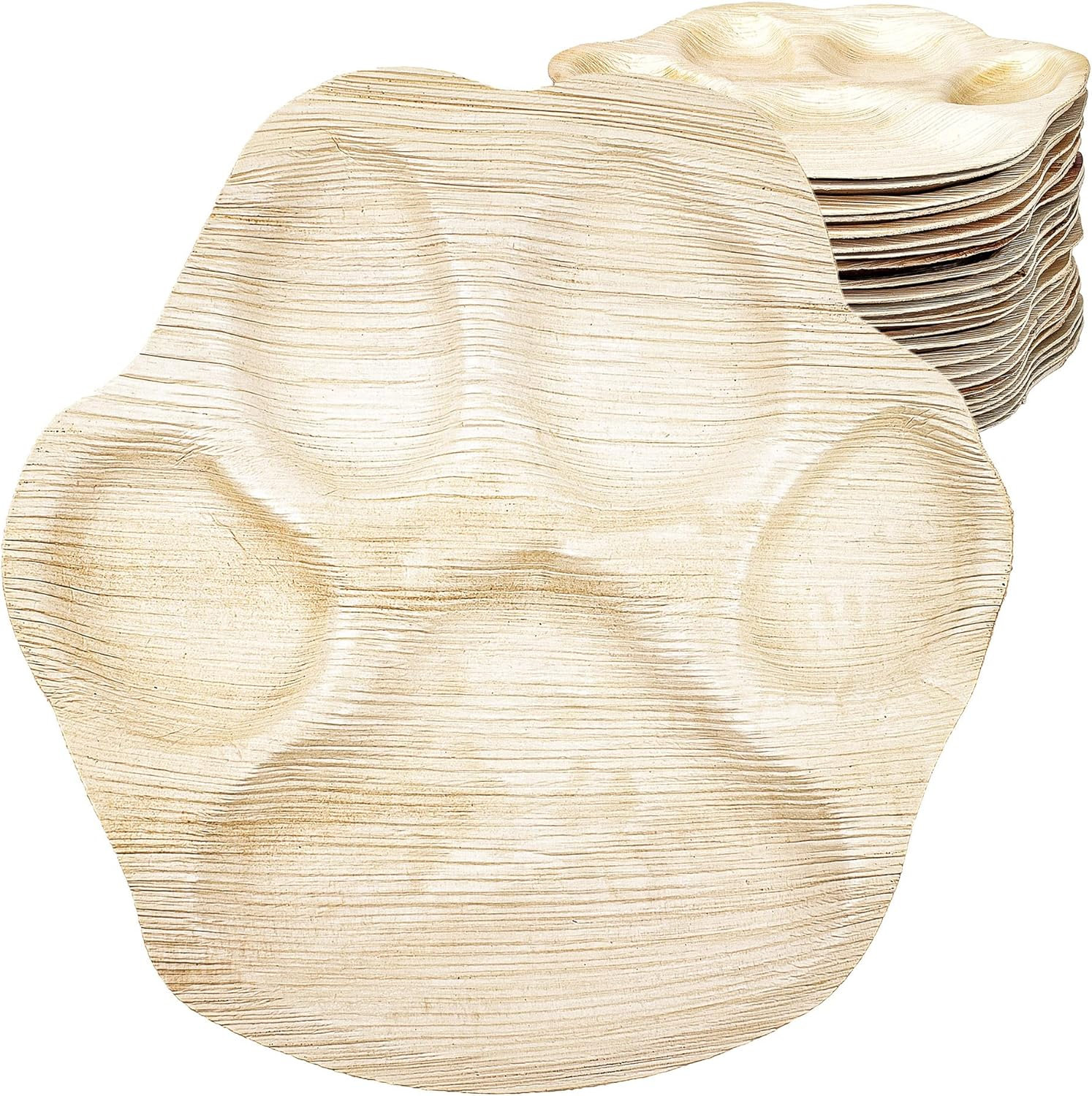 ECO GECKO 10" Paw Eco-Friendly Compostable Plates (4 x 25pcs) | Wayfair