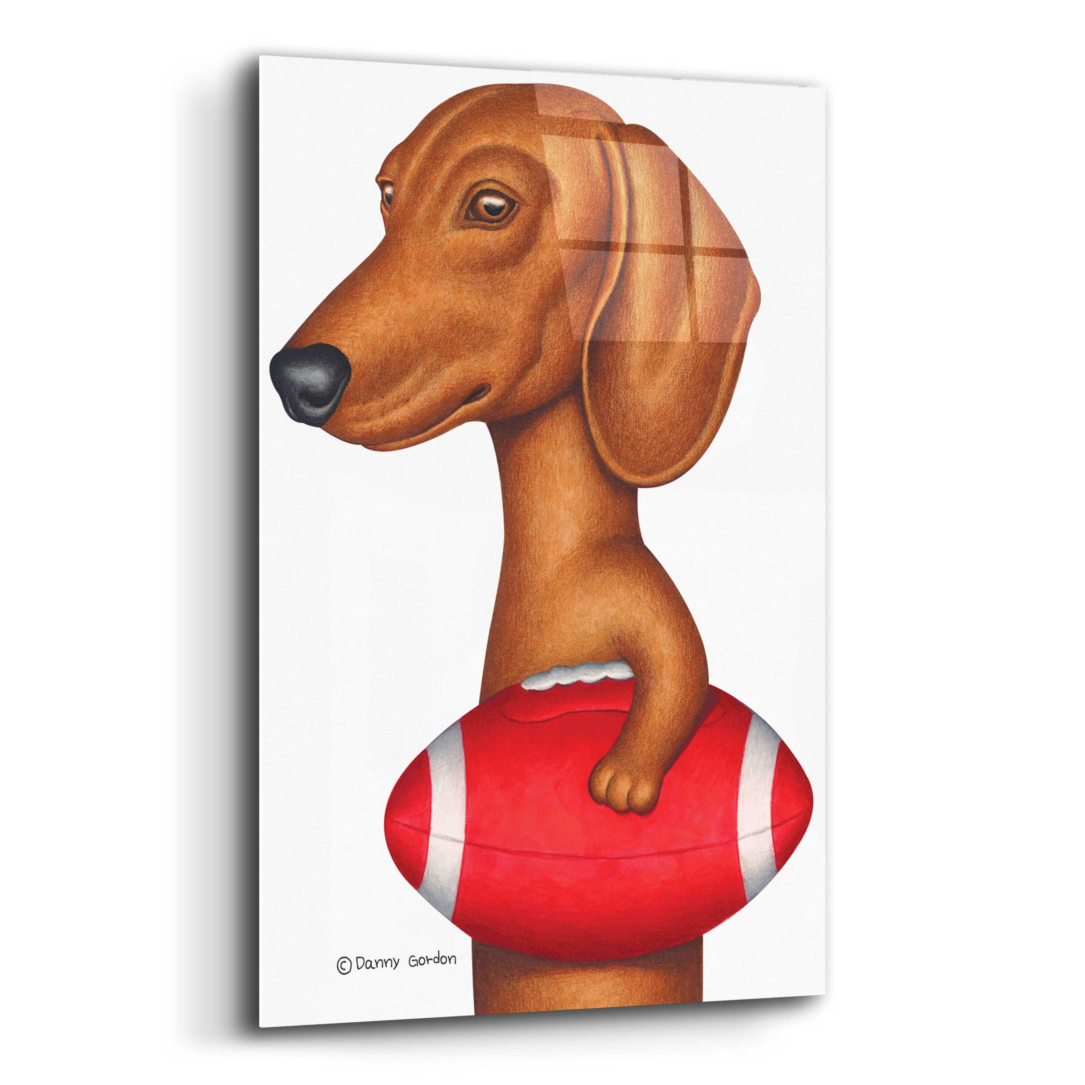 Trinx 'Boomer' By Danny Gordon Art, Acrylic Glass Wall Art - Wayfair Canada