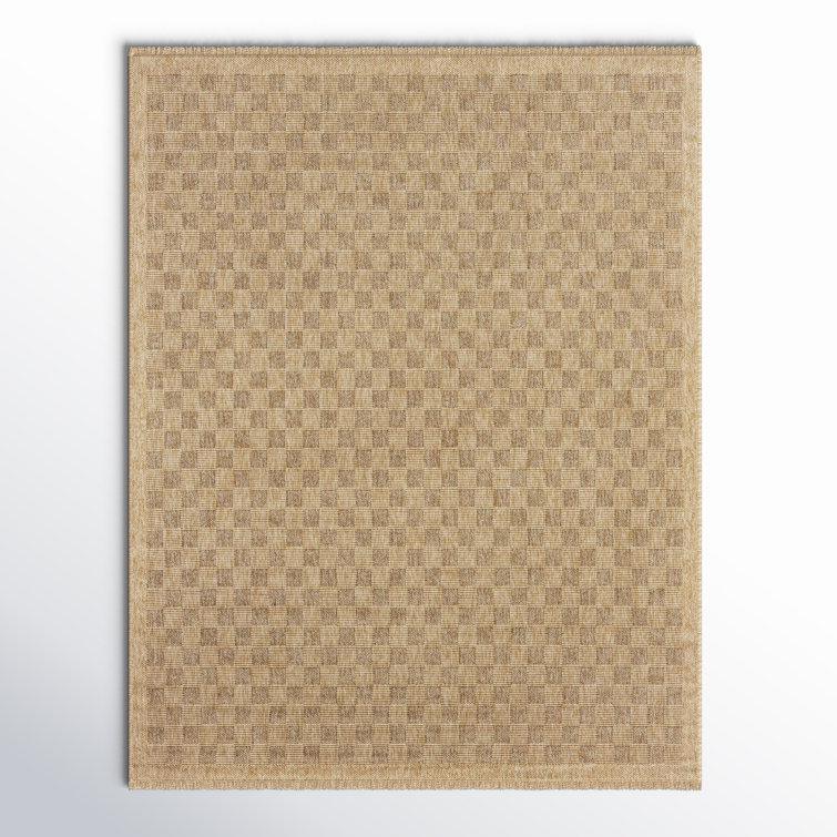 Birch Lane™ Abbie Checkered Outdoor Rug & Reviews | Wayfair