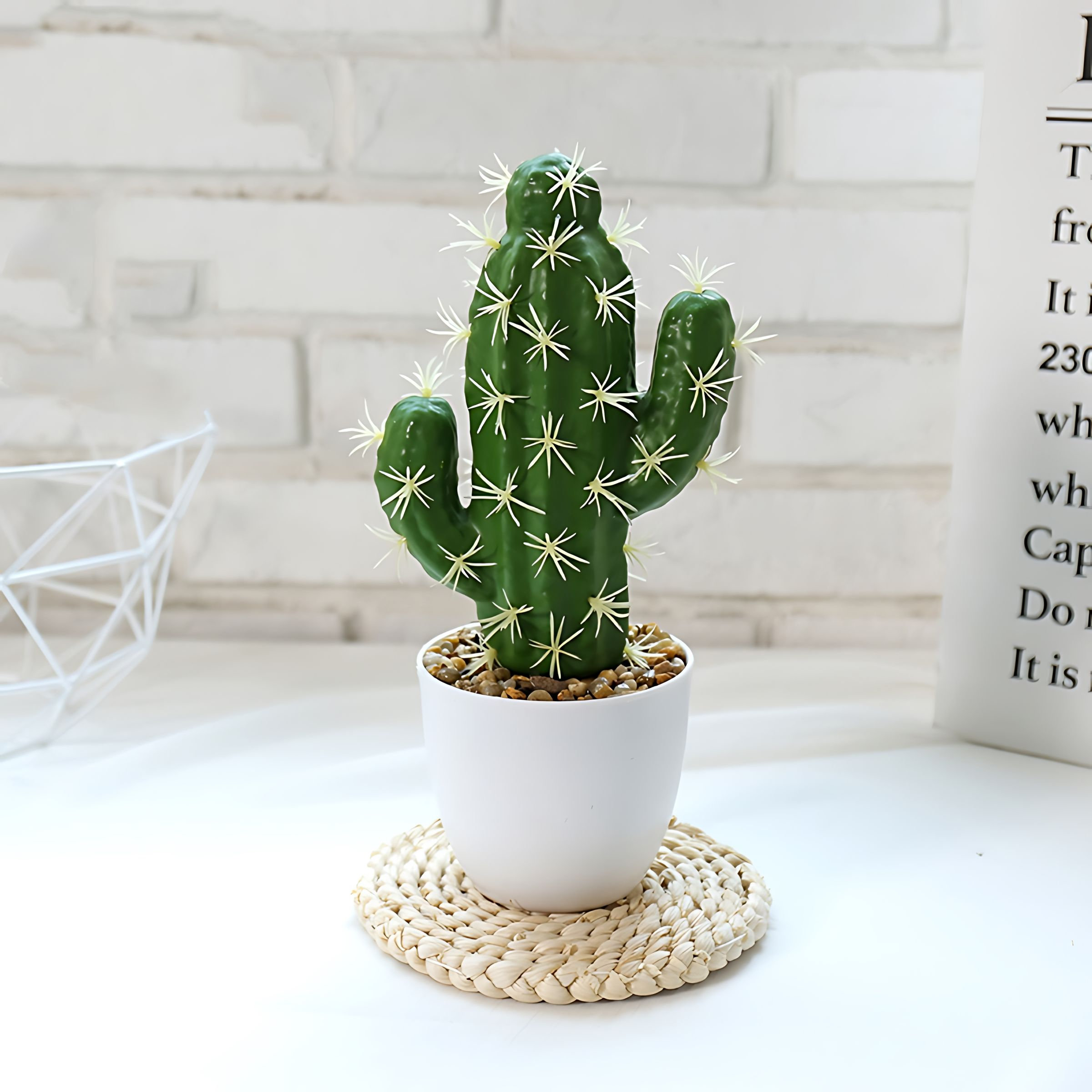 George Oliver Nordic Cactus Succulent Artificial Flower Simulation ...