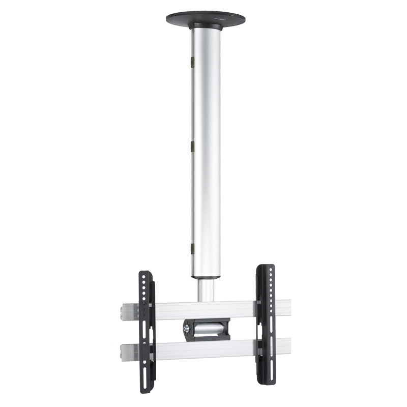 Symple Stuff Swivel Universal Ceiling Mount | Wayfair.co.uk