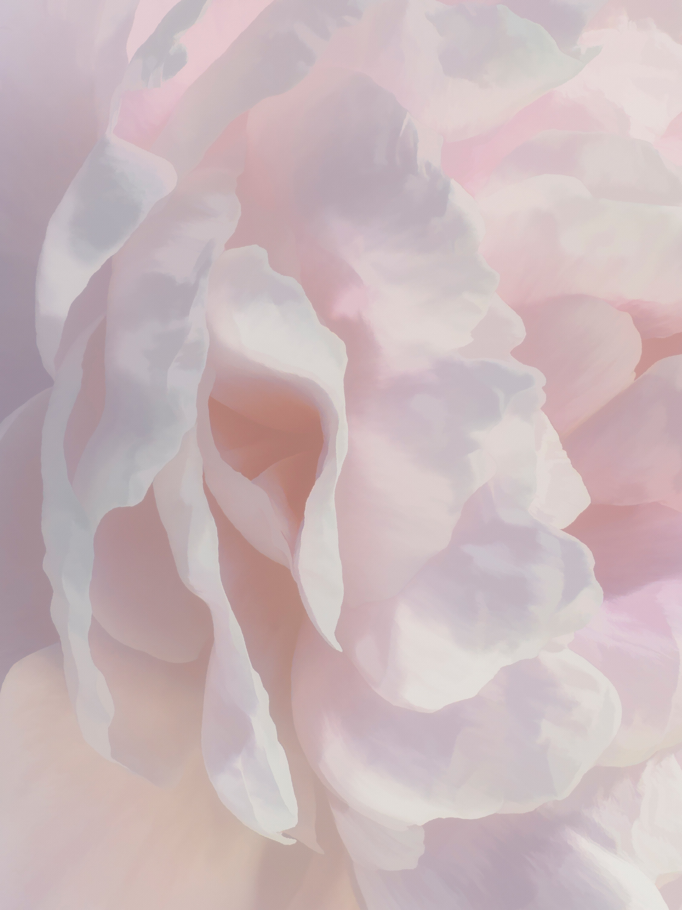 Winston Porter Peony Pink Blush II - Wayfair Canada