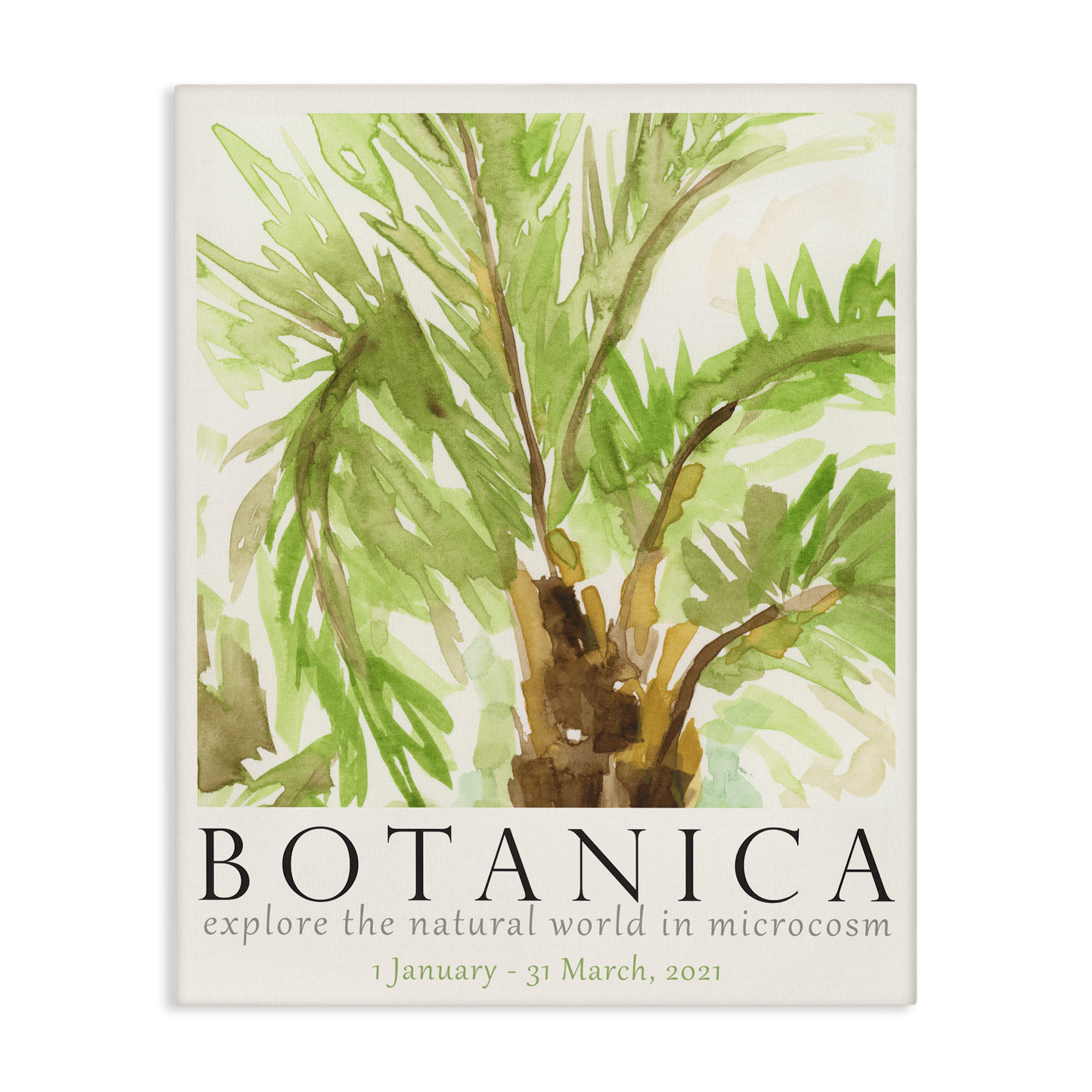Bay Isle Home™ Botanica Poster Palm Tree Canvas Wall Art by June Erica ...