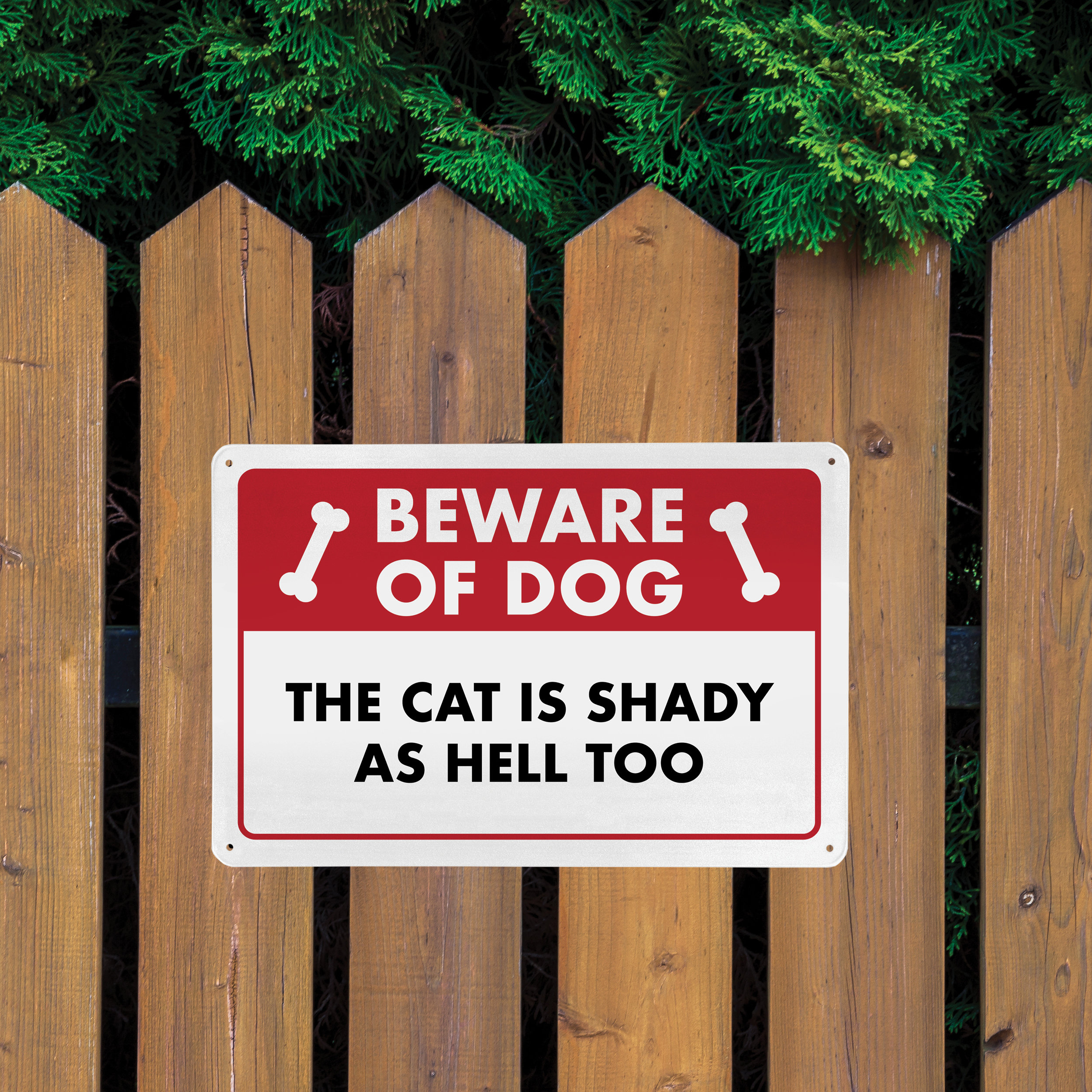 ENVISIONED Funny Sign - Beware Of Dog The Cat Is Shady... 8" X 12 ...
