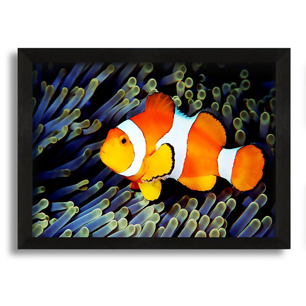 ClassicLiving Clown Fish - Single Picture Frame Art Prints on Canvas ...