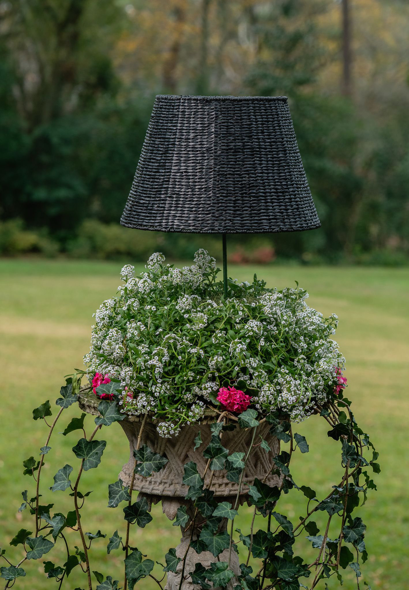 Maison Maison Design Rattan Empire Lamp Shade ( Spider ) in Black | Wayfair
