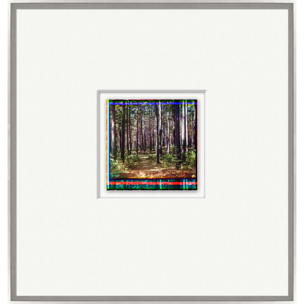 Soicher-Marin Solarized Color Photos Solarized Colour Photos 6 Framed ...