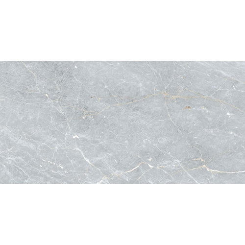 MALAKAN INC. 24" X 48" Porcelain Marble Look Wall & Floor Matte Gray ...