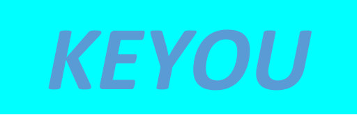 KEYOU - Wayfair Canada