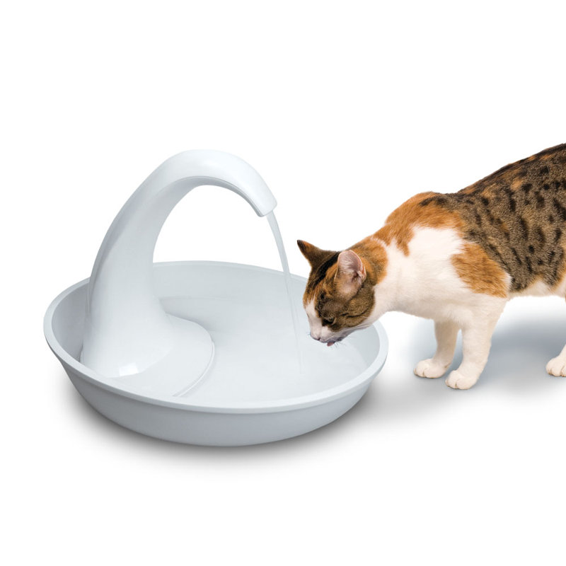 Pioneer Pet Swan Automatic Water Dish & Reviews | Wayfair
