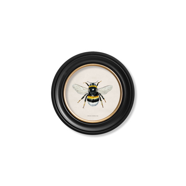 Brambly Cottage Bumble Bee by Mid-1800s - Single Picture Frame Print on ...