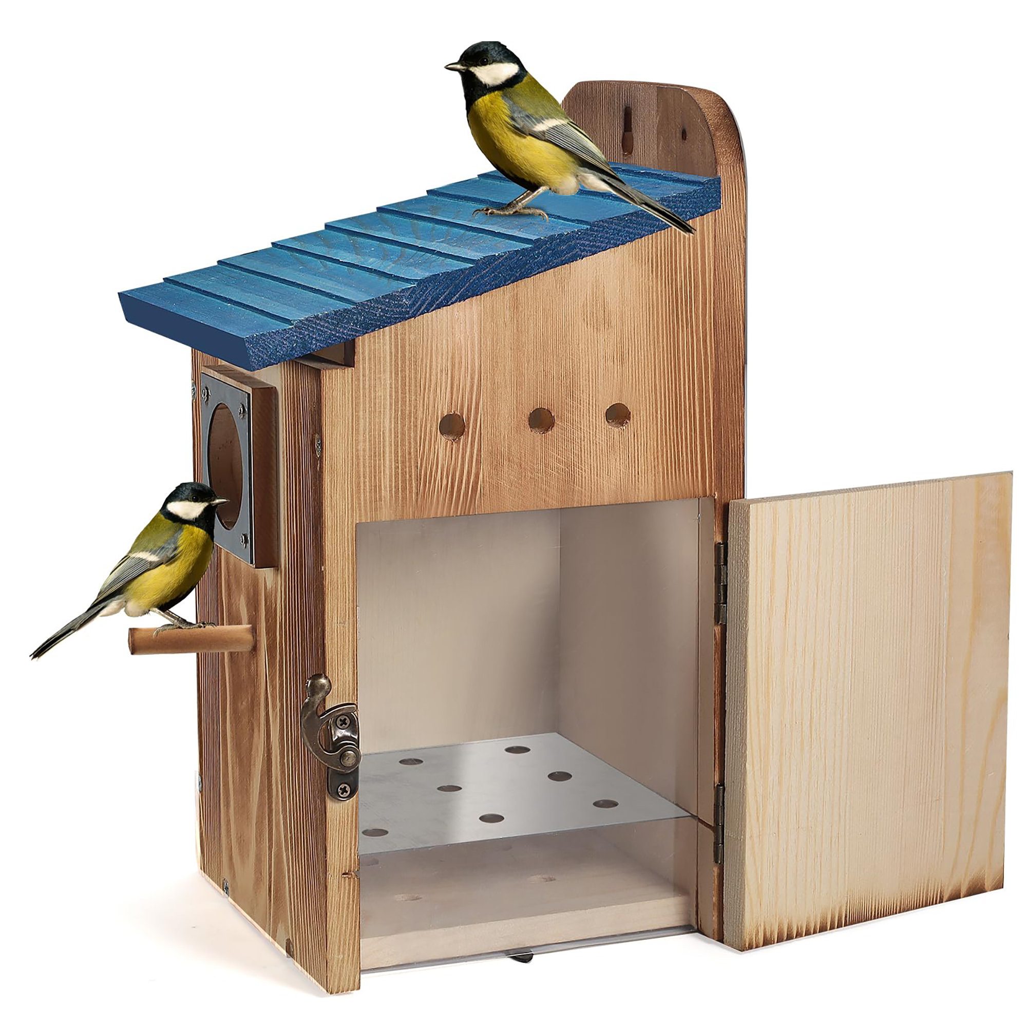 Ophelia & Co. Durable Bluebird House | Clear View Panel & Predator ...