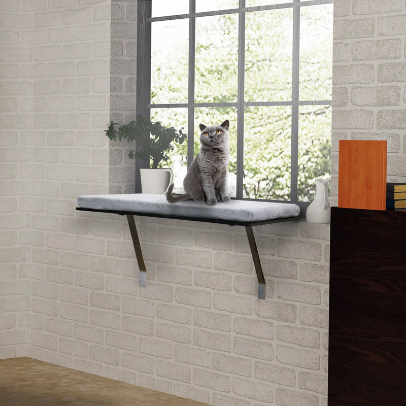 Tucker Murphy Pet™ Becerra Rectangle Cat Perch & Reviews - Wayfair Canada