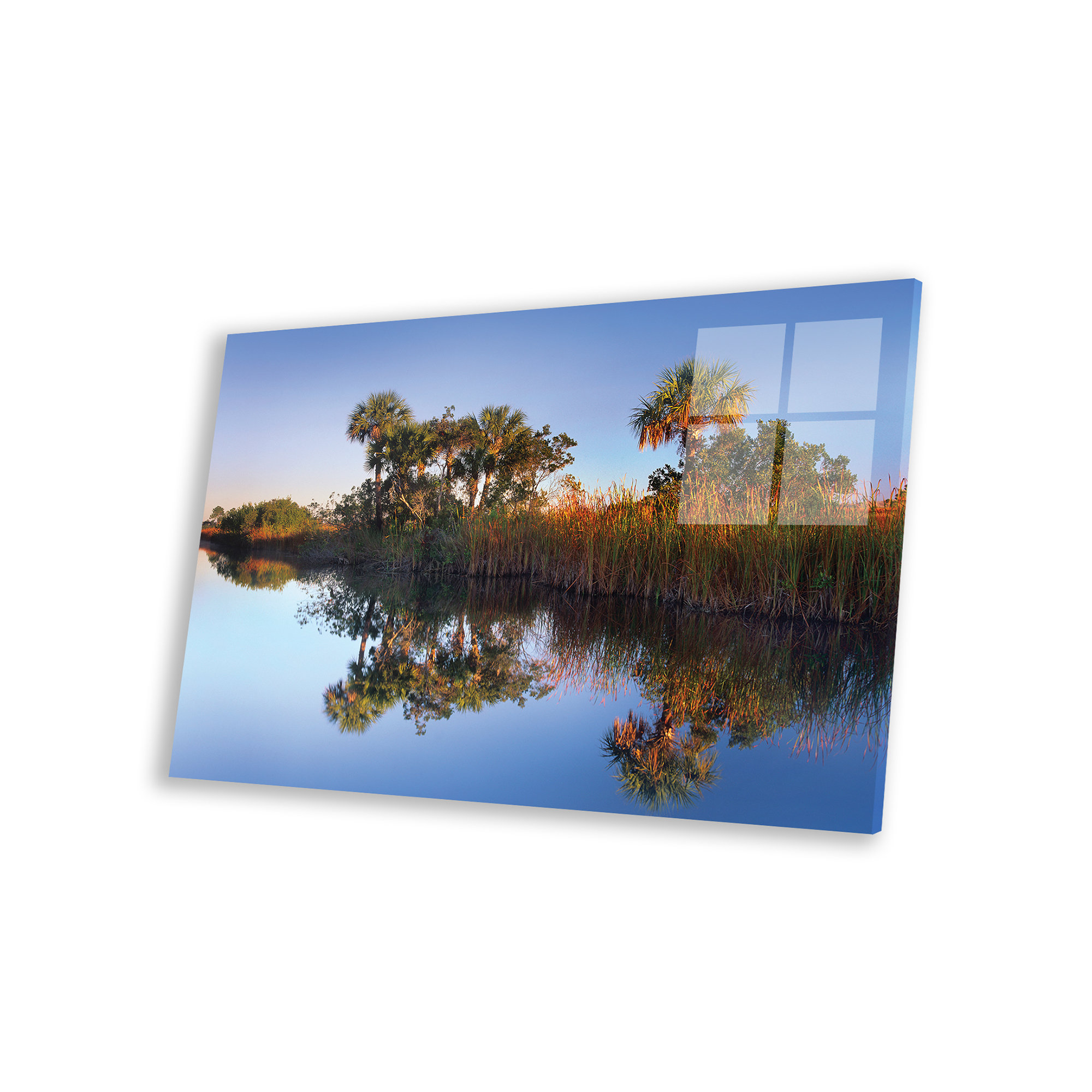 Latitude Run® Ingus Royal Palm Trees And Reeds Along Waterway ...