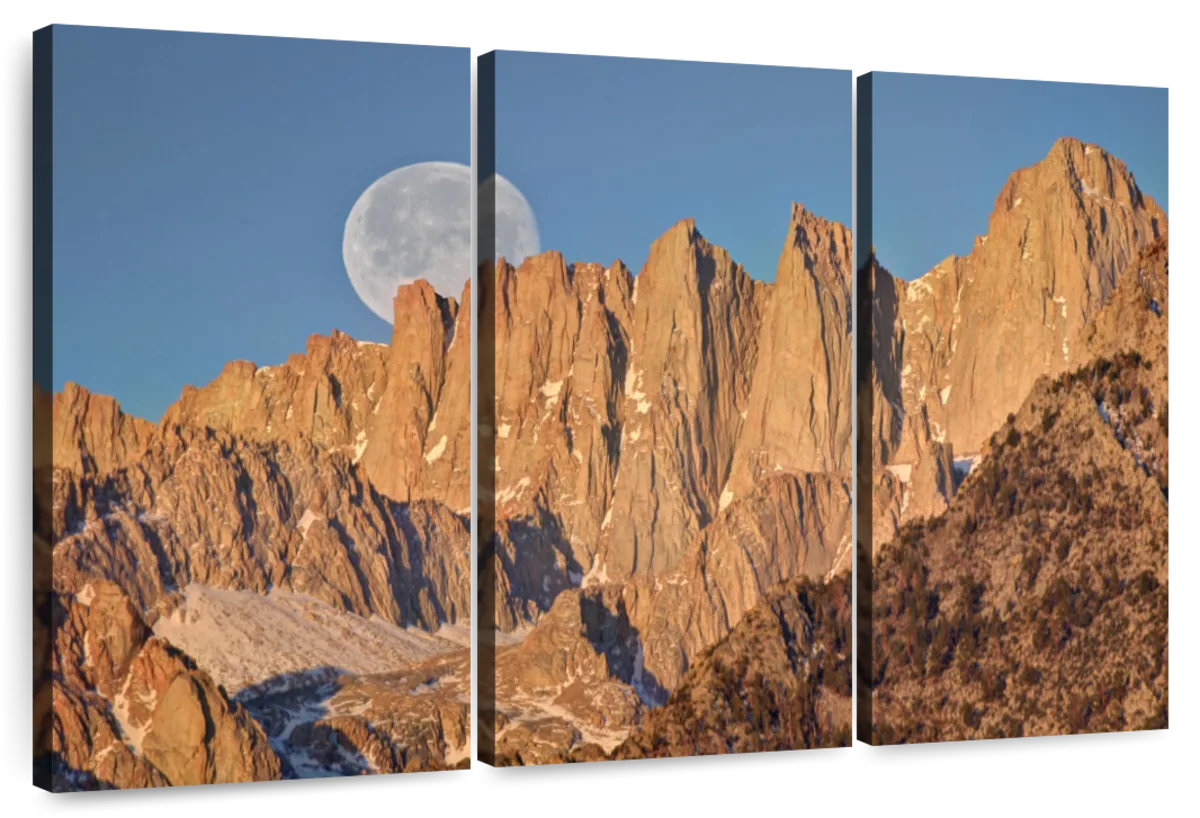 Millwood Pines Alvord Mt. Whitney Supermoon | Wayfair